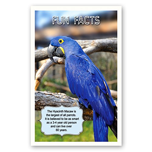 FUN FACTS postcard set of 20. Post card variety pack with trivia and fun fact theme postcards. Made in USA.