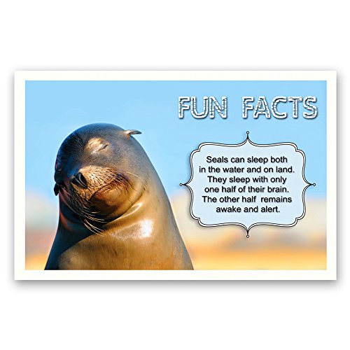 FUN FACTS postcard set of 20. Post card variety pack with trivia and fun fact theme postcards. Made in USA.