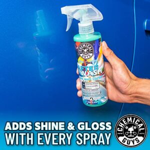 Chemical Guys CWS_801_16 After Wash Sprayable Gloss Boosting Car Wash Drying Aid (Helps Reduce Water Spots), 16 fl. Oz