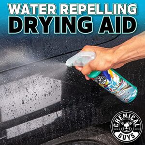 Chemical Guys CWS_801_16 After Wash Sprayable Gloss Boosting Car Wash Drying Aid (Helps Reduce Water Spots), 16 fl. Oz