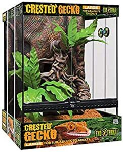 exo terra pt3779 crested gecko kit, large