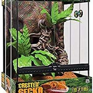 Exo Terra PT3779 Crested Gecko Kit, Large