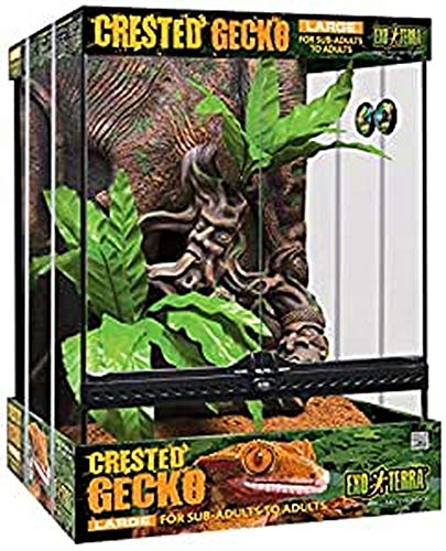 Exo Terra PT3779 Crested Gecko Kit, Large