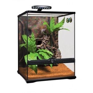 Exo Terra PT3779 Crested Gecko Kit, Large