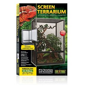 exo terra screen terrarium, medium