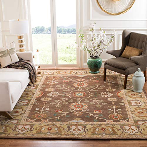 SAFAVIEH Anatolia Collection Area Rug - 8' x 10', Brown & Gold, Handmade Traditional Oriental Wool, Ideal for High Traffic Areas in Living Room, Bedroom (AN562A)