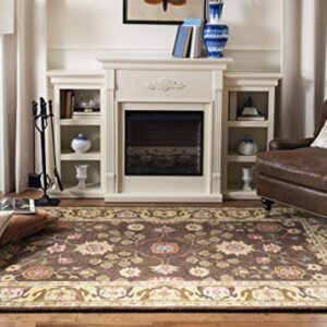 SAFAVIEH Anatolia Collection Area Rug - 8' x 10', Brown & Gold, Handmade Traditional Oriental Wool, Ideal for High Traffic Areas in Living Room, Bedroom (AN562A)