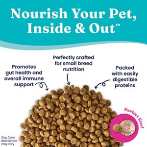 Solid Gold Small Breed Dog Food - Wee Bit Whole Grain Made with Real Bison, Brown Rice, and Pearled Barley - High Fiber, Probiotic, Natural Dry Dog Food for Small Dogs with Sensitive Stomachs