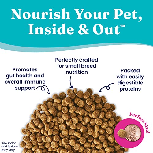 Solid Gold Small Breed Dog Food - Wee Bit Whole Grain Made with Real Bison, Brown Rice, and Pearled Barley - High Fiber, Probiotic, Natural Dry Dog Food for Small Dogs with Sensitive Stomachs