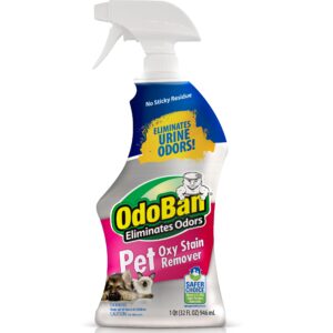 odoban pet solutions oxy stain remover, pet stain eliminator, 32 ounce spray