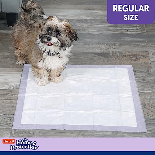 Hartz Home Protection Odor Eliminating Scented Dog Pads, Super Absorbent & Won’t Leak, Lavender Scent, Regular Size, 50 Count