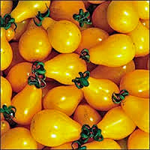 Tomato,Yellow PEAR Tomato Seed, Heirloom, Non-GMO, 25+ Seeds, Tasty, Great for Salads