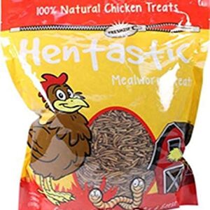 UNIPET USA 084112 Hentastic Dried Mealworms Chicken Treats , 30 oz, 1Piece