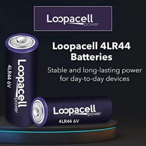 10 Pack 4LR44 / PX28A / L1325 / A544 / K28A / 476A 6V Alkaline Batteries for Dog Shock/Training Collars by Loopacell, 5 Count (Pack of 2)