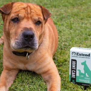 Extend - Joint Care for Dogs - 1 Month Supply - Glucosamine for Dogs with MSM & Ascorbic Acid - Pure Grade Ingredients.