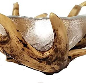 Antler Bowl with Glass Bowl