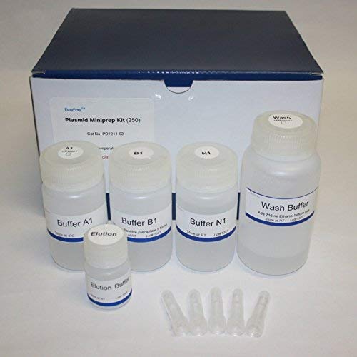 Plasmid miniprep kit (250 preps)