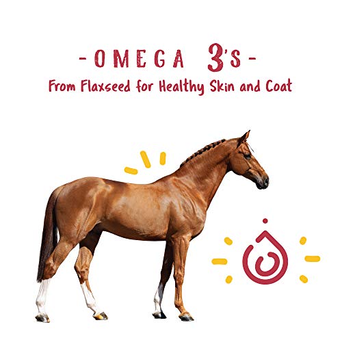 Manna Pro Weight Accelerator for Senior Horses | Made with Omega 3 Fatty Acids from Flaxseed | 8 Pounds