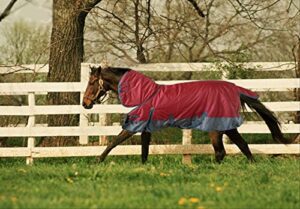 turnout 1680d horse winter waterproof with neck cover - horse blanket 001 - size from 69" to 83" (75")