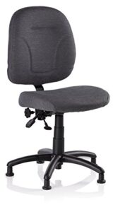 reliable sewergo 200se ergonomic task chair made in canada with adjustable back sewing chair, height adjustable, contoured cushion, 250lb capacity