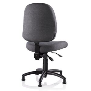 Reliable SewErgo 200SE Ergonomic Task Chair Made in Canada with Adjustable Back Sewing Chair, Height Adjustable, Contoured Cushion, 250Lb Capacity