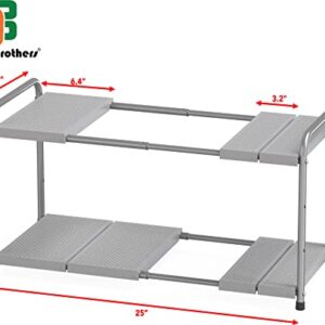 DecoBros Under Sink 2 Tier Expandable Shelf Organizer, Silver