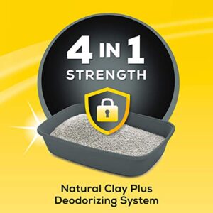 Purina Tidy Cats Clumping Cat Litter, 4-in-1 Strength Multi Cat Litter - (2) 20 lb. Jugs