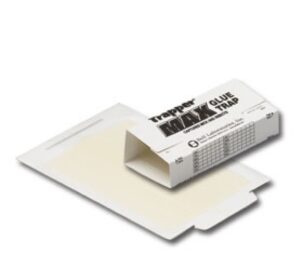 trapper max 11 catcher's maximum 6 glue board trap, white