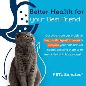 Pet Ultimates Probiotics for Cats – 20-Species Cat Probiotic Powder to Treat Diarrhea, Vomiting, Digestive Support & Cat Antibiotics Recovery – Skin and Coat Supplement for Cats Enhances Vitality– Cat Health Supplies (44 gr)