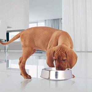 Iconic Pet 16 oz/ 2 Cup Anti Ant Stainless Steel Non Skid Pet Food/Water Bowl - Noise Free Ant Resistant Dog/Cat Feeding Bowl with Unique Design & Rubber Base Makes It an Elegant Ant Proof Dish