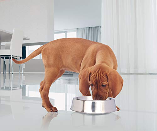 Iconic Pet 16 oz/ 2 Cup Anti Ant Stainless Steel Non Skid Pet Food/Water Bowl - Noise Free Ant Resistant Dog/Cat Feeding Bowl with Unique Design & Rubber Base Makes It an Elegant Ant Proof Dish