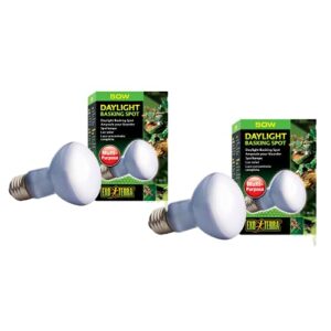 exo-terra sun glo neodymium basking spot lamps 50 watts - pack of 2