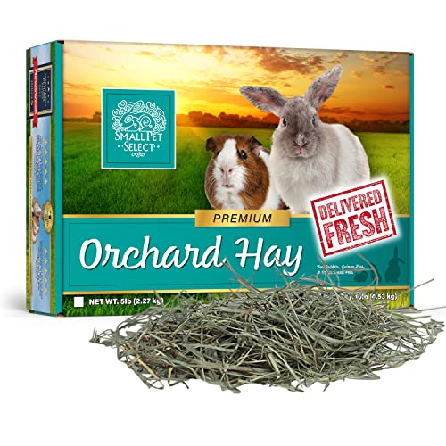 Small Pet Select Orchard Grass Hay Pet Food for Rabbits, Guinea Pigs, Chinchillas and Other Small Animals, Premium Natural Hay Grown in The US, 10 LB