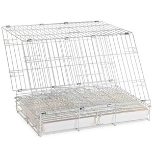 Two Size, Durable Metal Travel or Veterinary Collapsable Parrot Bird Carrier Cage