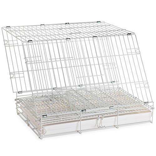 Two Size, Durable Metal Travel or Veterinary Collapsable Parrot Bird Carrier Cage