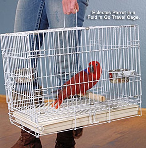 Two Size, Durable Metal Travel or Veterinary Collapsable Parrot Bird Carrier Cage