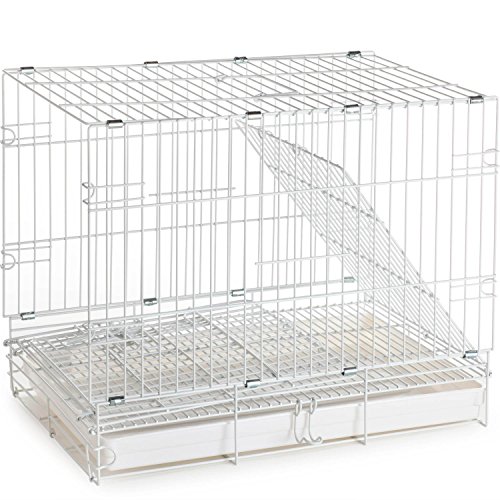 Two Size, Durable Metal Travel or Veterinary Collapsable Parrot Bird Carrier Cage