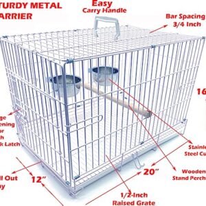 Two Size, Durable Metal Travel or Veterinary Collapsable Parrot Bird Carrier Cage