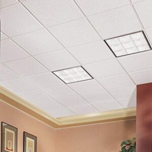 Armstrong Ceiling Tiles; 2x4 Ceiling Tiles - 12 pcs White Ceiling Tiles; Acoustic Ceilings for Suspended Ceiling Grid; FISSURED 755