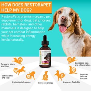 RestoraPet 1-Pack Dog & Cat Bacon Liquid Multivitamin | Dog Arthritis Pain Relief | Hip & Joint Vitamins for Dogs - Anti Inflammatory Supplement for Dogs & Cats | Organic & Non-GMO, Vet Approved