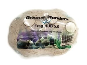 oceans wonders flush fit frag station hub 5.0 coral reef plug holder with 5 plugs