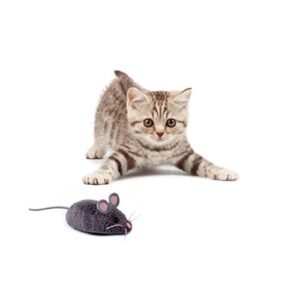 HEXBUG Mouse Robotic Cat Toy (GREY) for all breed sizes