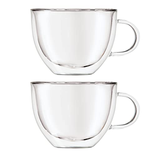 Oggi Set of 2 Double Wall Glass Coffee Cups - 16oz, Ultra Clear Borosilicate Glass Insulated Coffee Cup Set, Tea Cup Set, Cappuccino Cup Set, Latte Cup Set