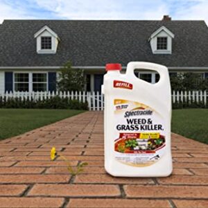 Spectracide Weed & Grass Killer (Refill), Use On Driveways, Walkways and Around Trees and Flower Beds, 1.3 Gallon