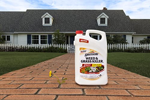 Spectracide Weed & Grass Killer (Refill), Use On Driveways, Walkways and Around Trees and Flower Beds, 1.3 Gallon