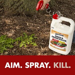 Spectracide Weed & Grass Killer (Refill), Use On Driveways, Walkways and Around Trees and Flower Beds, 1.3 Gallon