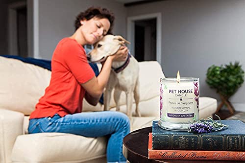 One Fur All - 100% Natural Plant-Based Wax Candle, 30+ Fragrances - Pet Odor Eliminator, Appx 60 Hours Burn Time, Scented Jar Candles – Pet House Candle, (Pack of 1, Lavender Green Tea)