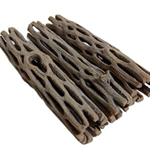 Natural Cholla Wood for Aquarium Decoration, Shrimp, Hermit Crab, Chew Toys for Small Pets (4 Inches Long(Pack of 3))