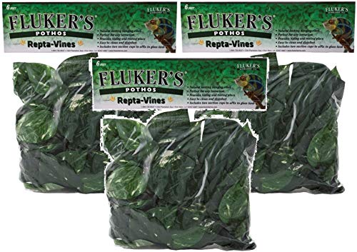 Fluker's Repta Vines-Pothos (Pack of 3)