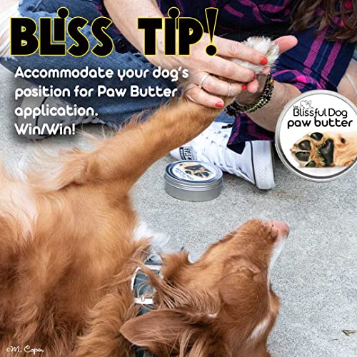 The Blissful Dog Paw Butter for Your Dog's Rough and Dry Paws, 1-Ounce